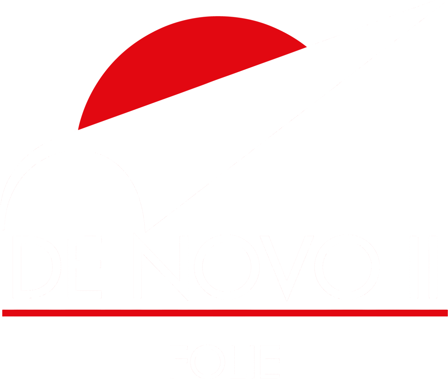 Folia elektryczna na okno - Folia PDLC / LCD - Cena i montaż DE NOVO II